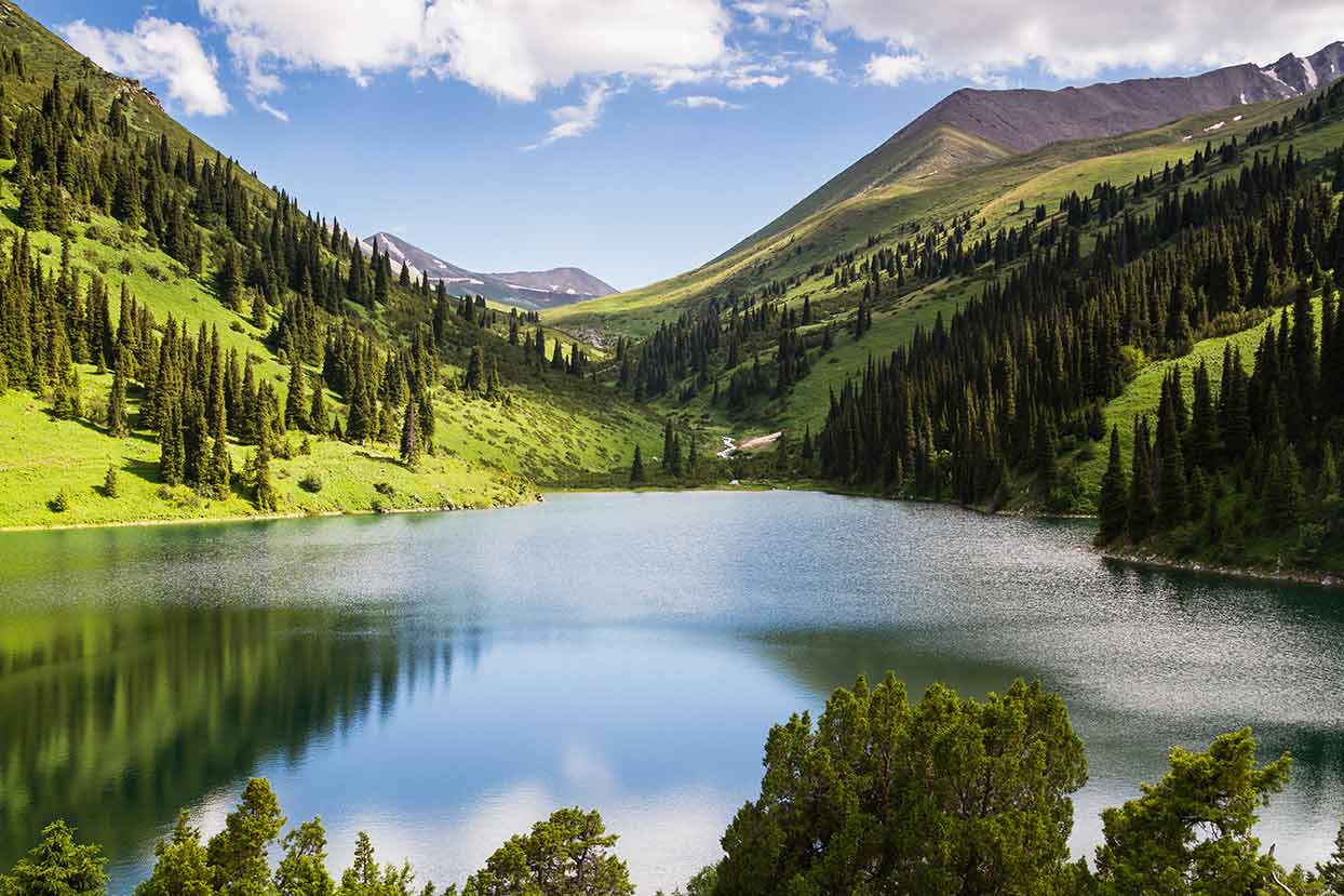 Home - custom smoking cabins